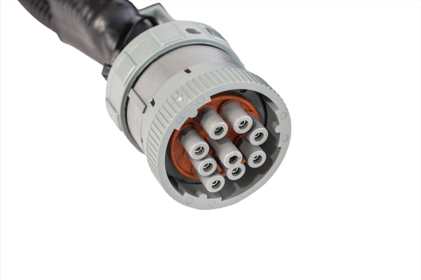 Webasto Wiring Harness Adapter for Smartemp 3.0 for TP90 TP150 EB 5013 ...